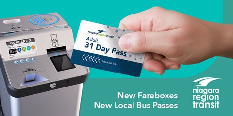 Niagara Region Transit rolling out new fareboxes, new local bus passes ...